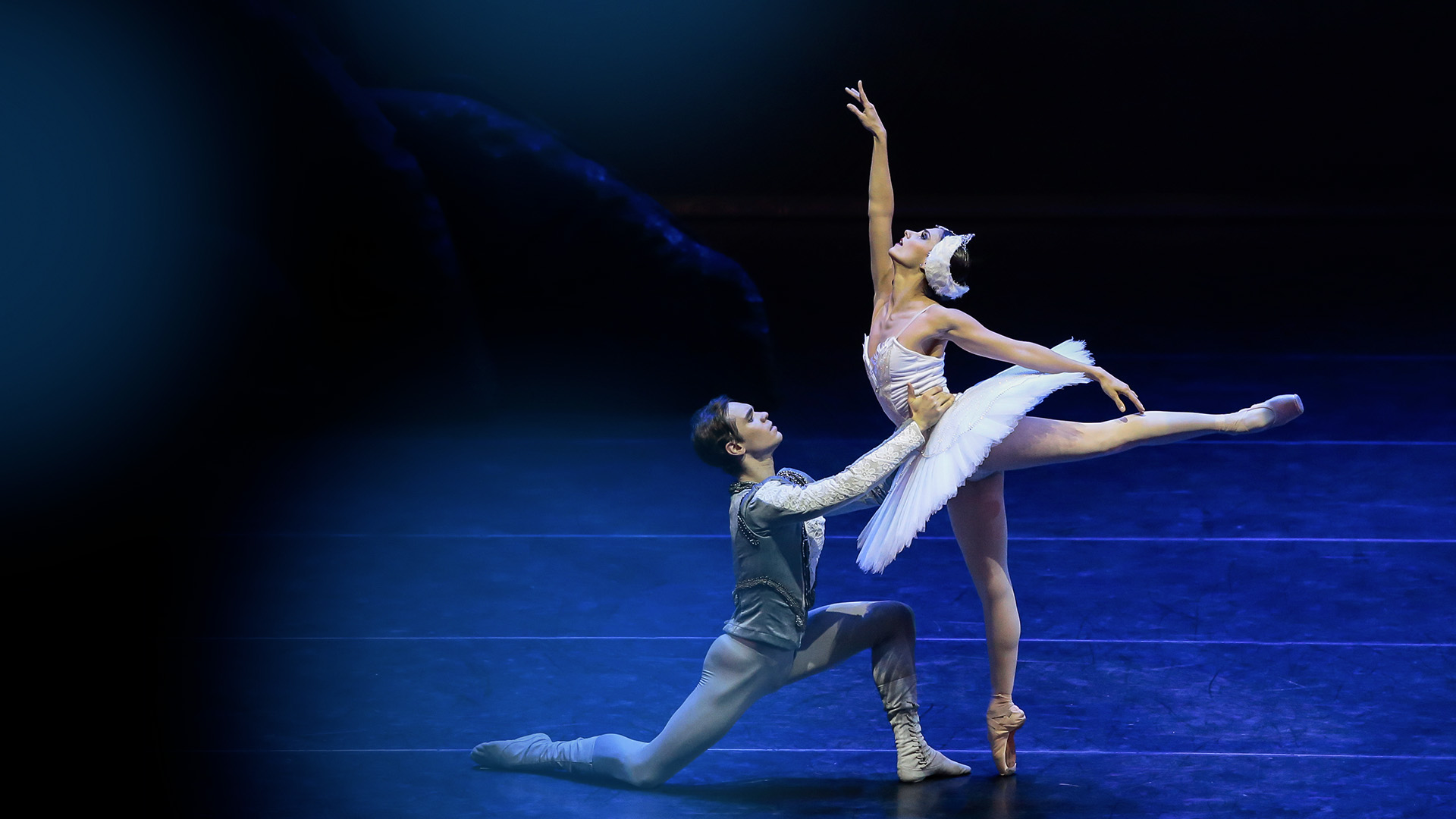 O Lago dos Cisnes: conheça um dos ballets de repertório mais famoso do ...